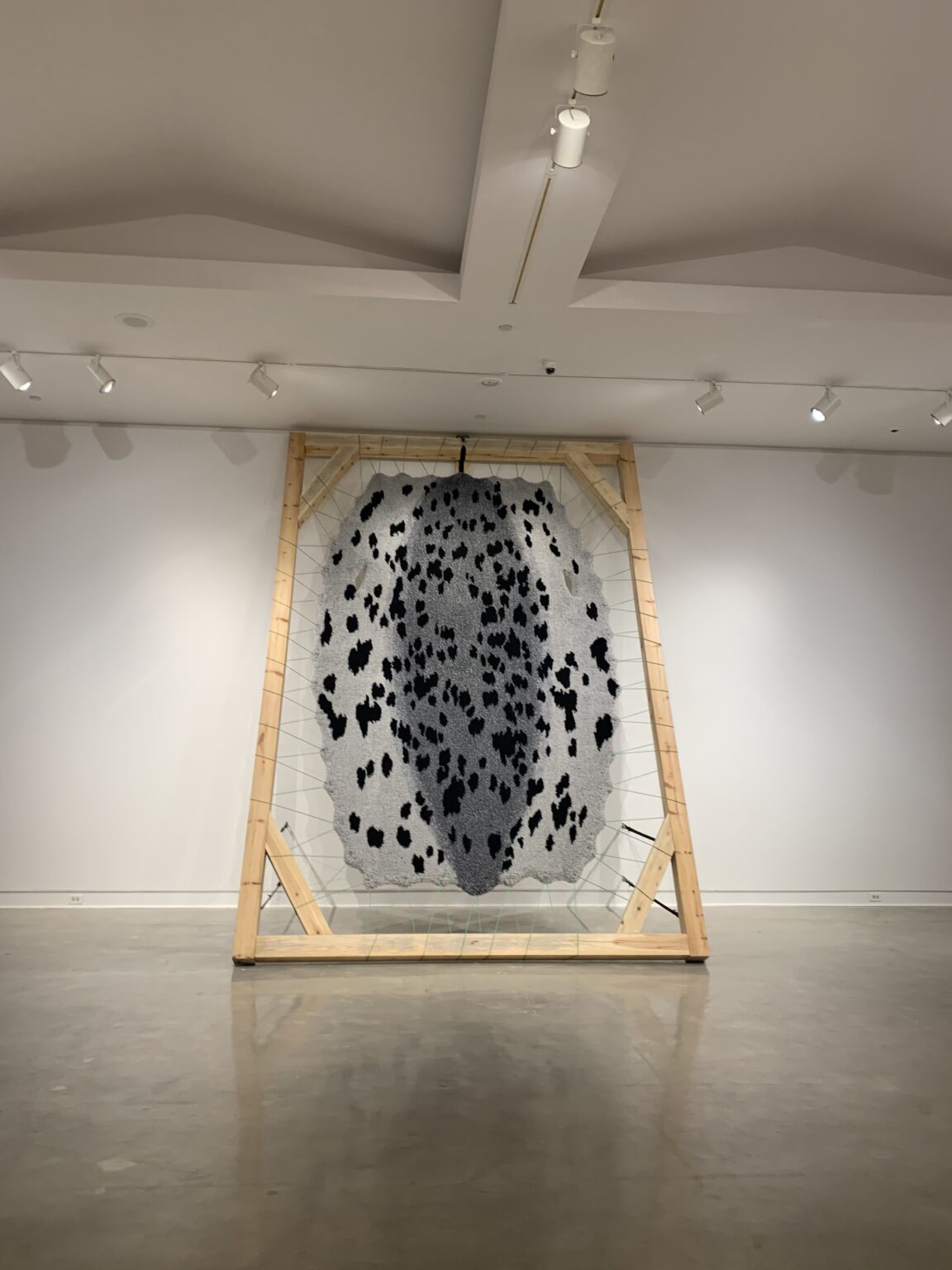 Toronto Friends of the Visual Arts Announces the 2024 Artist Prize ...